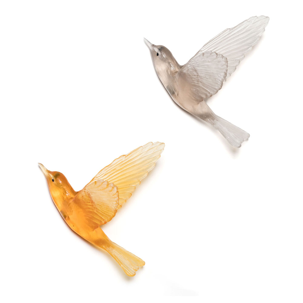 Lukeke Bird –Shining Cuckoo - Vetri