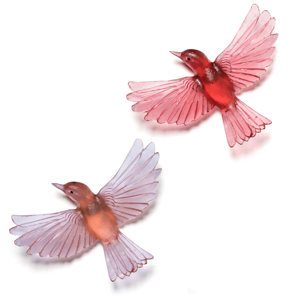 Lukeke Bird - Yellowhead - Vetri