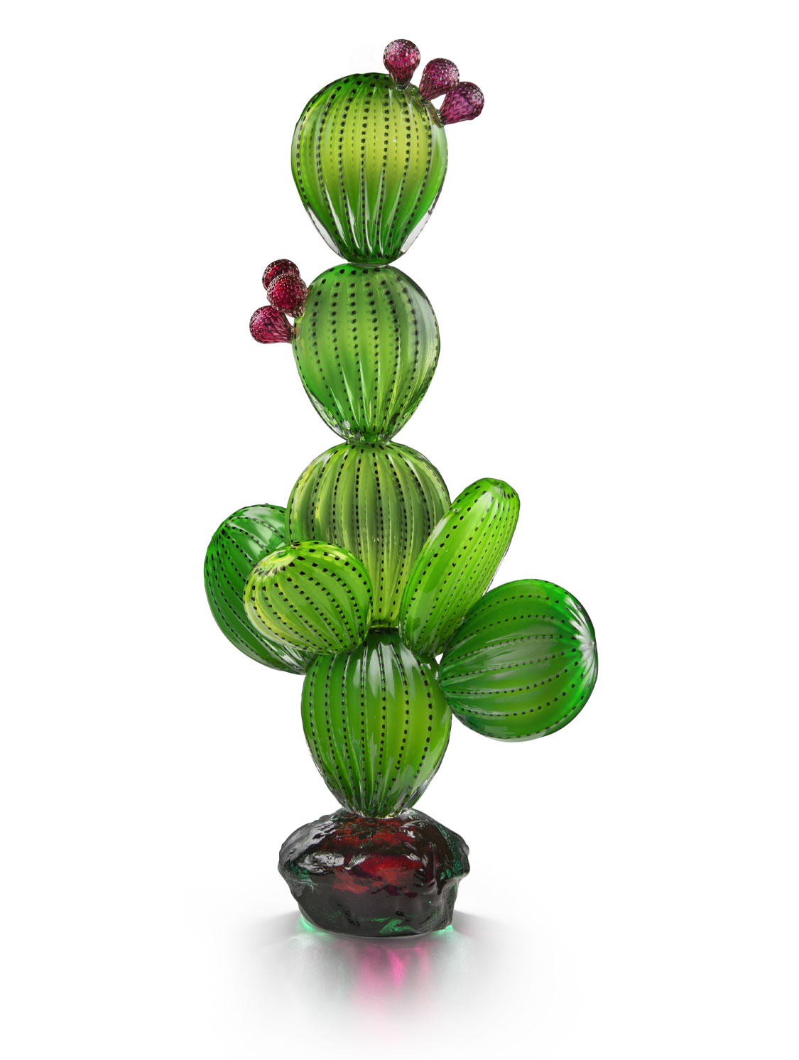 Nopal Grande - Vetri